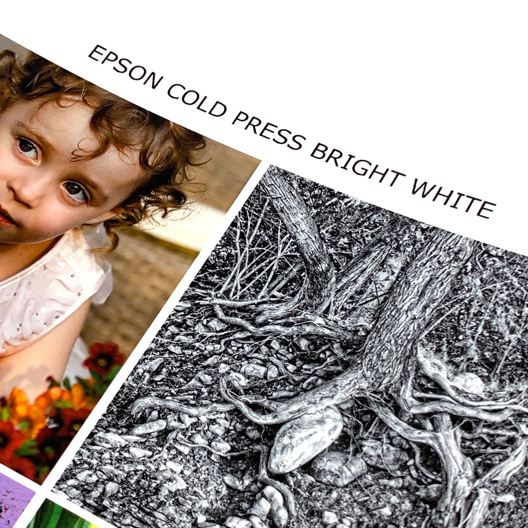 Cold Press Paper Bright White — Elizabeth’s Art Gallery